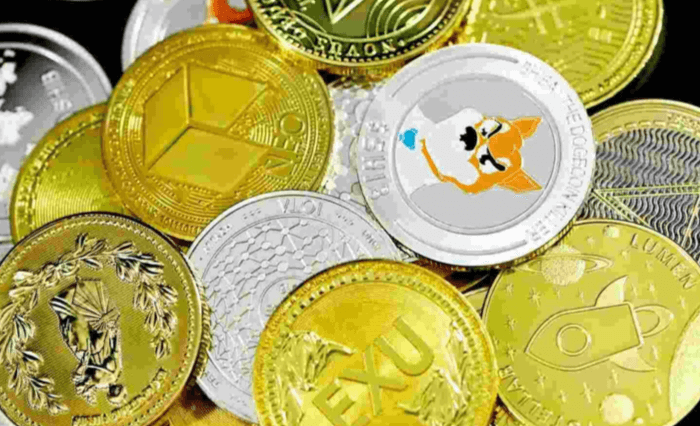 How Does Bitcoin Compare to Other Cryptocurrencies in 2024? » HIVEEX